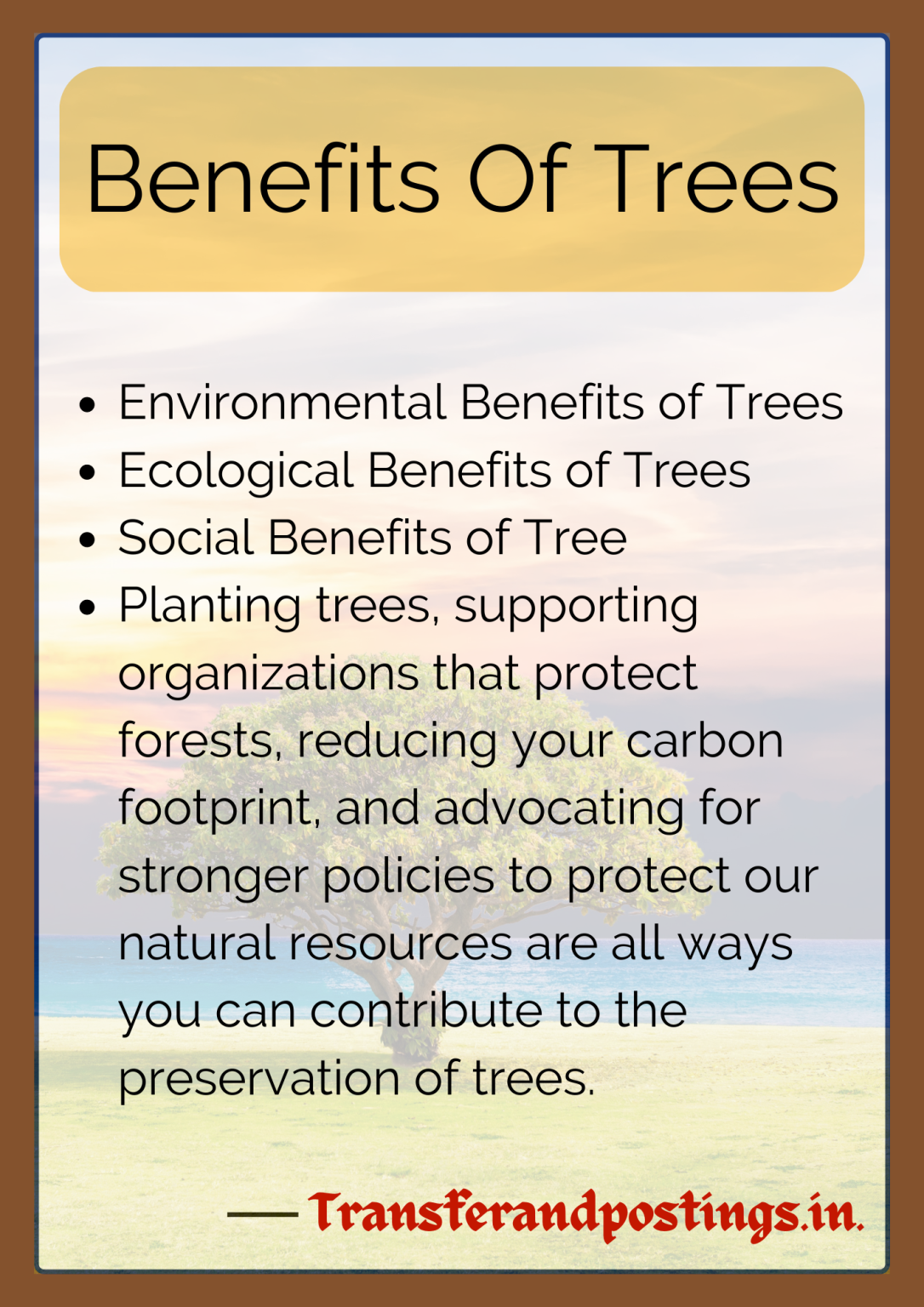 The Importance Of Trees: Why They Matter More Than You Think - Transfer ...