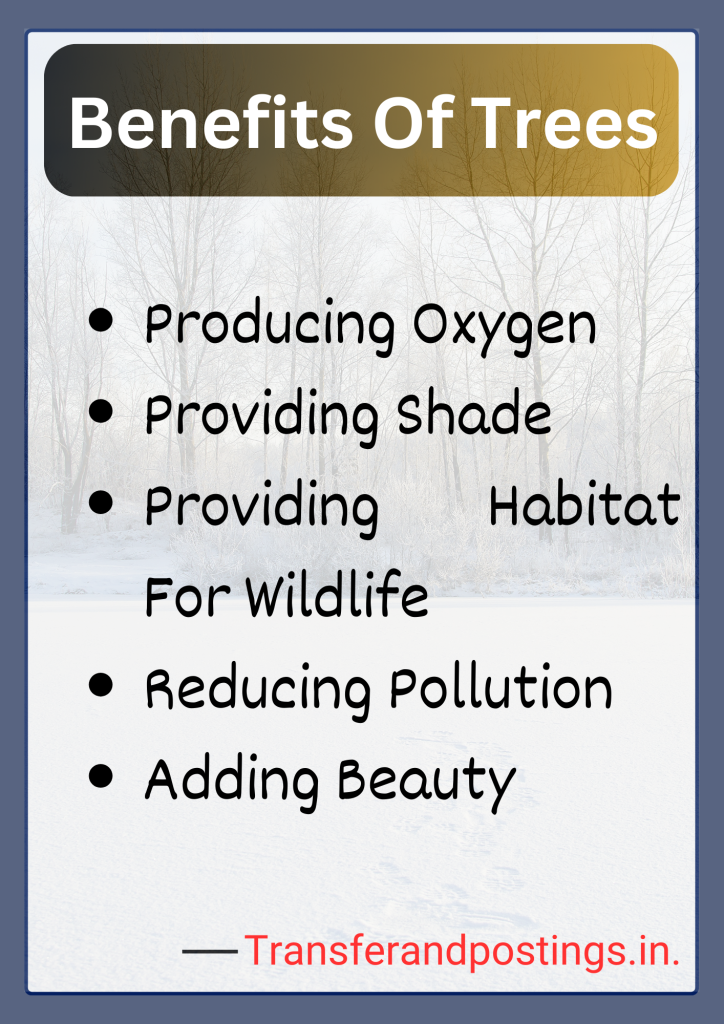 Tree Paragraph | Paragraph On Trees - Transfer and Postings