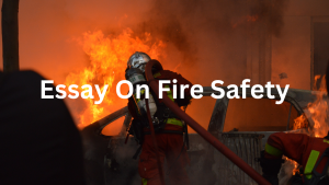 Essay On Fire Safety: How To Keep Your Home And Family Safe - Transfer ...