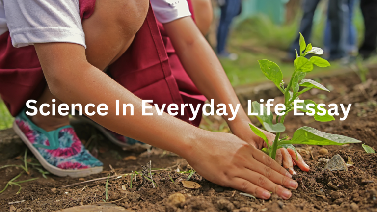 Science In Everyday Life Essay: The Importance Of Science In Our Daily ...
