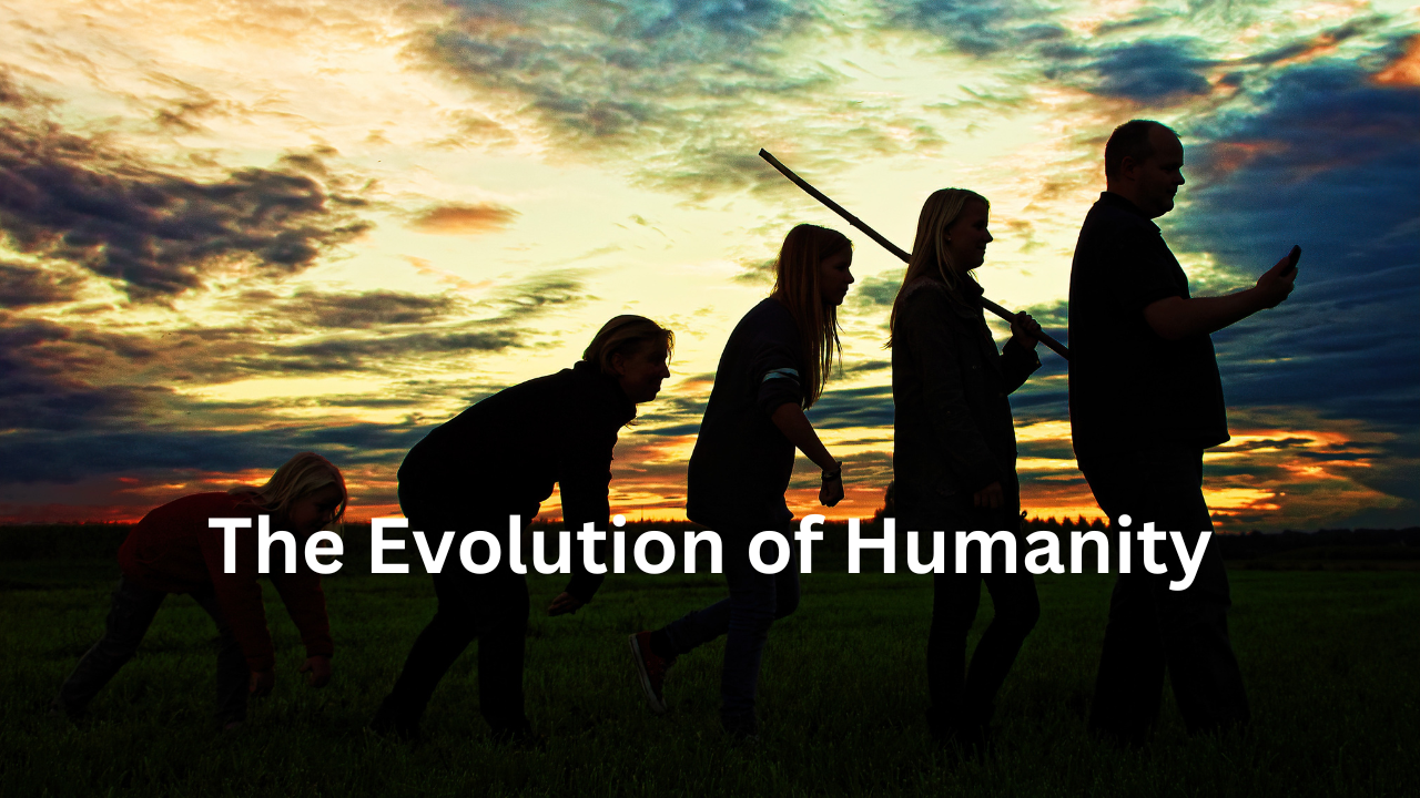 What Is Humanity Essay: Understanding The Essence Of Being Human ...