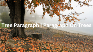 Tree Paragraph | Paragraph On Trees - Transfer and Postings