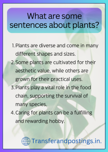 Paragraph On Plants: The Importance Of Plants - Transfer and Postings