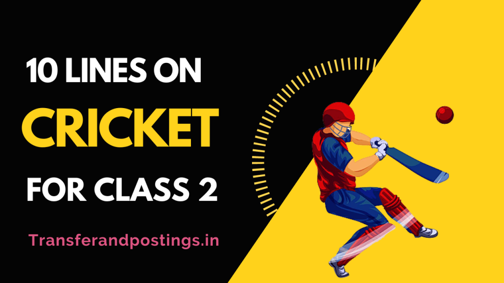 10 Lines On Cricket For Class 2: A Fun Introduction To The World Of ...