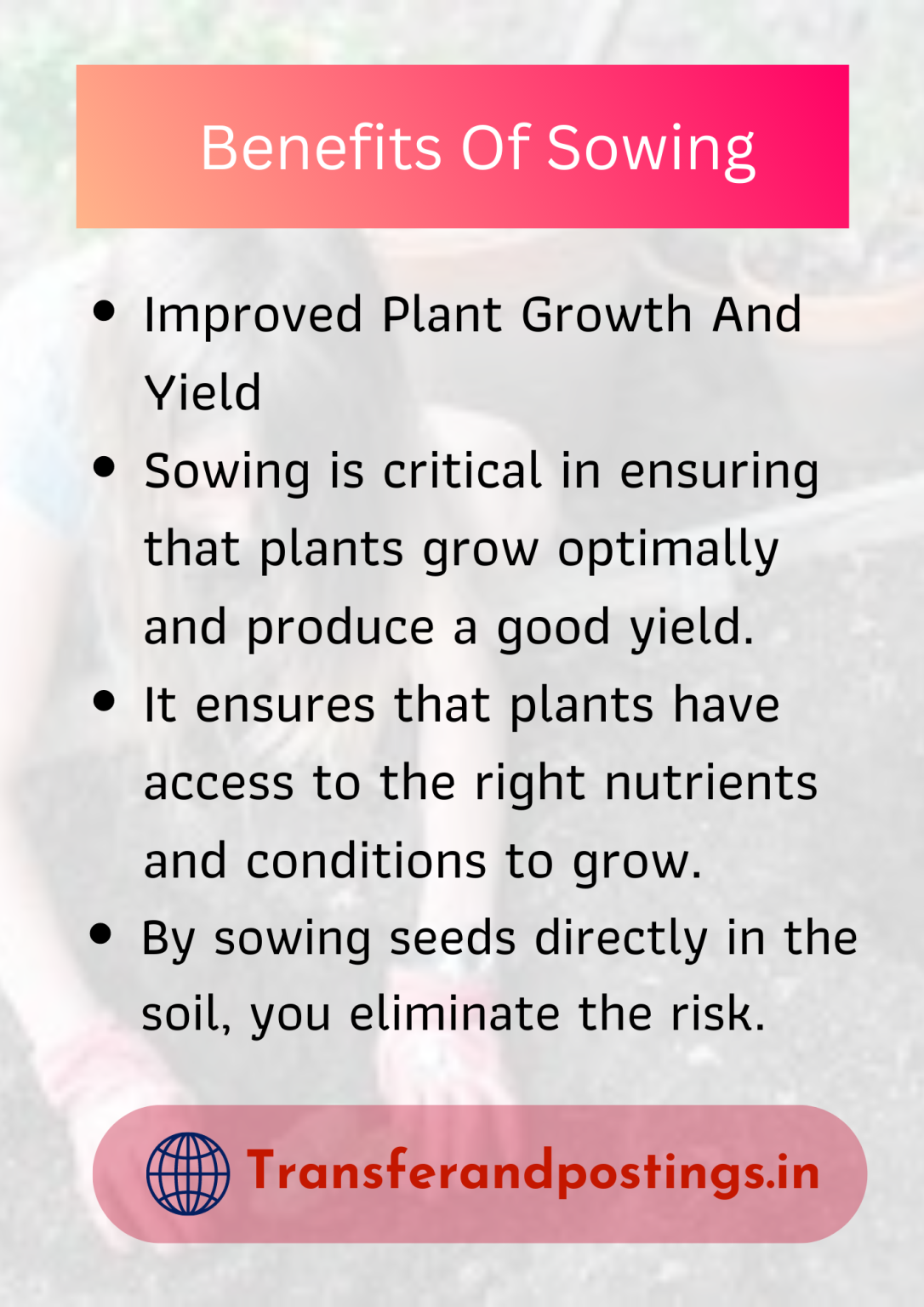 Paragraph On Sowing: A Comprehensive Guide To Planting And Growing ...