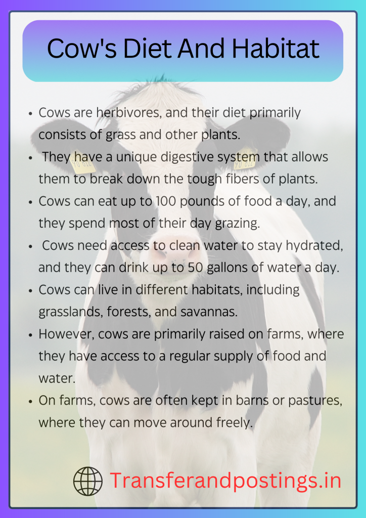 Essay On Cow For Kids: The Amazing World of Cows - Transfer and Postings