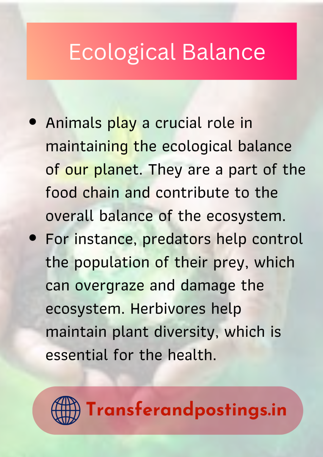 Short Paragraph On Save Animals: Protecting Our Planet's Precious ...