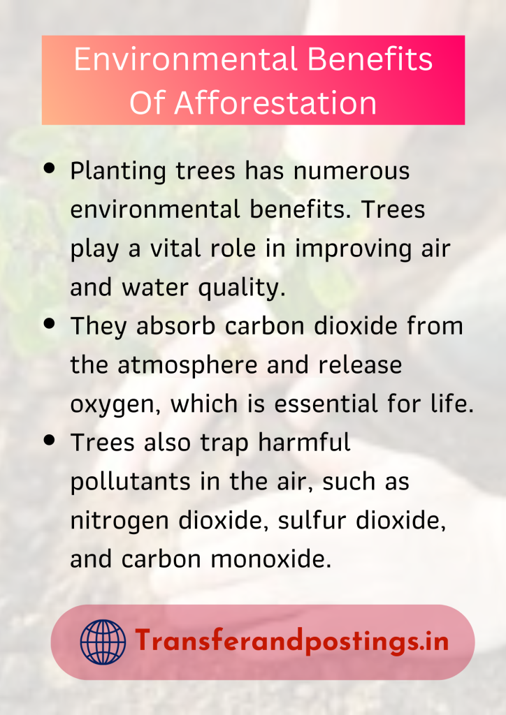 Short Paragraph On Afforestation: The Importance Of Afforestation ...