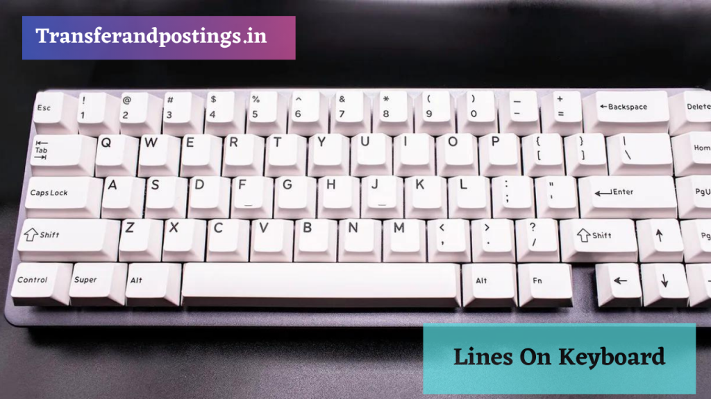 Lines On Keyboard: The Art Of Typing In The Digital Age - Transfer and ...