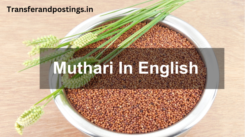 Muthari In English: A Complete Guide to Understanding and Using Muthari ...
