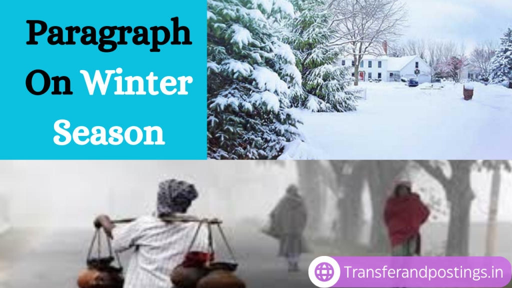 Paragraph On Winter Season: The Beauty And Benefits Of The Winter ...