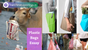 Plastic Bags Essay: A Crucial Step Towards A Sustainable Future ...
