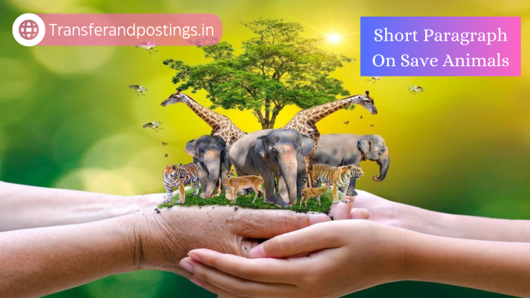 Short Paragraph On Save Animals: Protecting Our Planet's Precious ...
