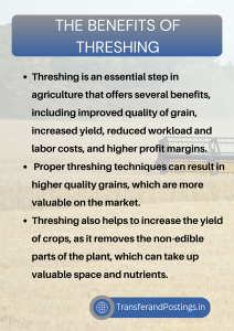 Paragraph On Threshing: A Step-By-Step Guide - Transfer and Postings