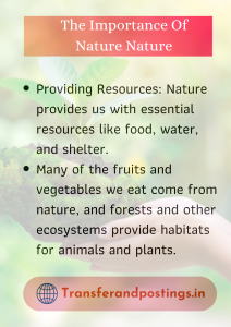 Paragraph On Nature For Kids: The Wonders Of Nature A Guide For Kids ...