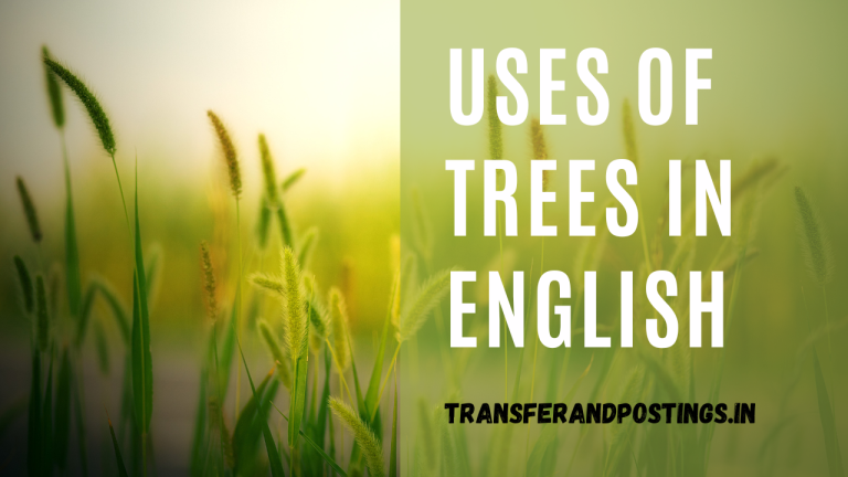 Uses Of Trees In English: Importance of Trees in Our Lives - Transfer ...