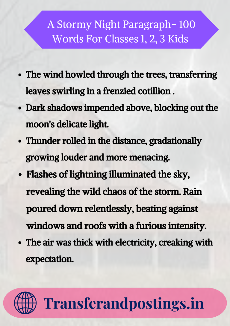 A Stormy Night Paragraph