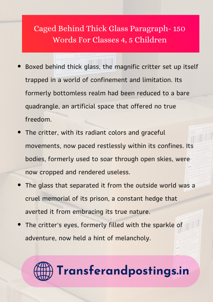 Caged Behind Thick Glass Paragraph