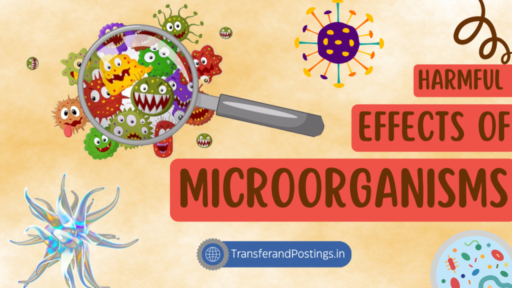 Harmful Effects Of Microorganisms: Causes, Symptoms, And Prevention ...