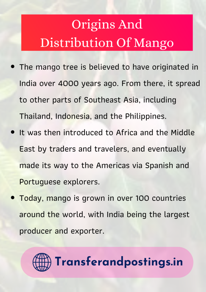 Mango Paragraph: A Delicious And Nutritious Tropical Fruit - Transfer ...
