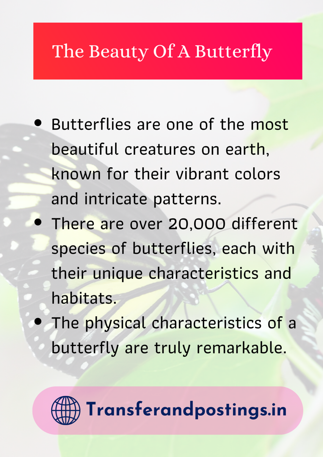 Paragraph On If I Were A Butterfly: Imagining Life In Flight - Transfer ...