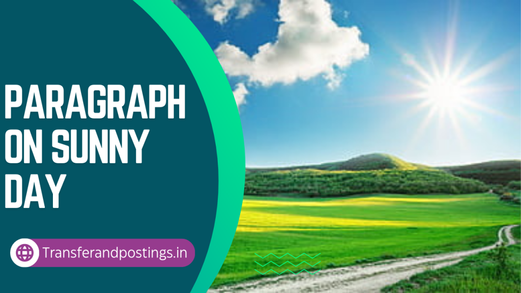 Paragraph On Sunny Day 100, 150, 200, 250 to 300 Words for Kids ...