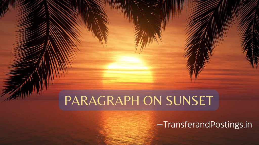 Paragraph On Sunset: Exploring The Mesmerizing World Of Sunsets ...