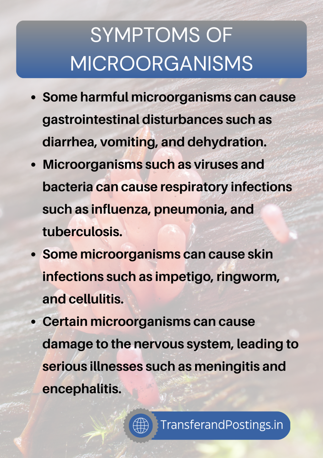 Harmful Effects Of Microorganisms: Causes, Symptoms, And Prevention ...