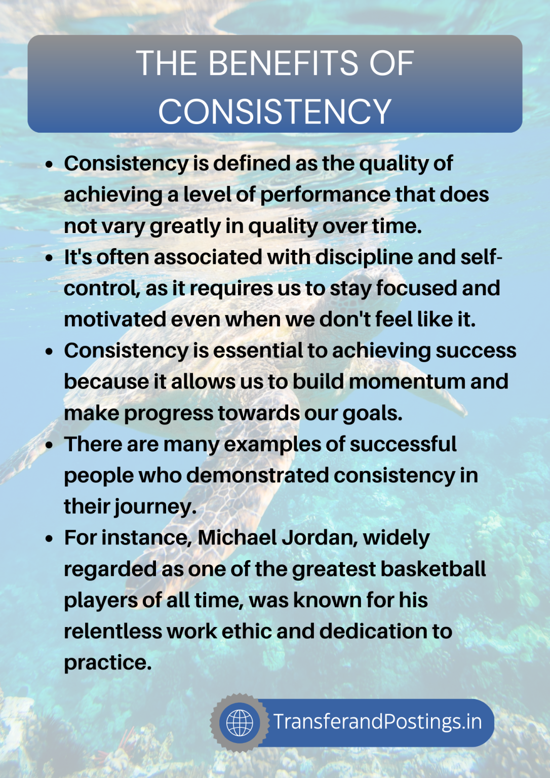 Slow And Steady Wins The Race Paragraph: The Importance Of Patience And ...