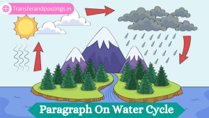 Paragraph On Water Cycle