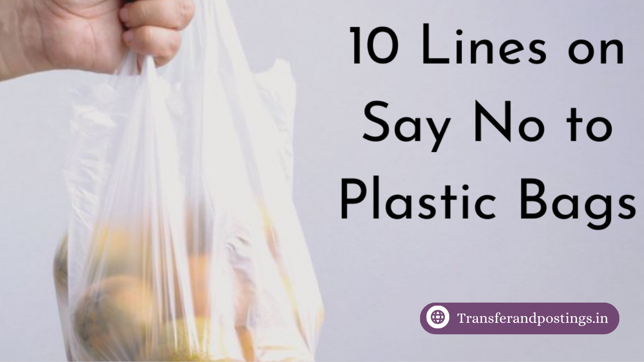 10 Lines On Say No To Plastic Bags For Students And Children In English ...
